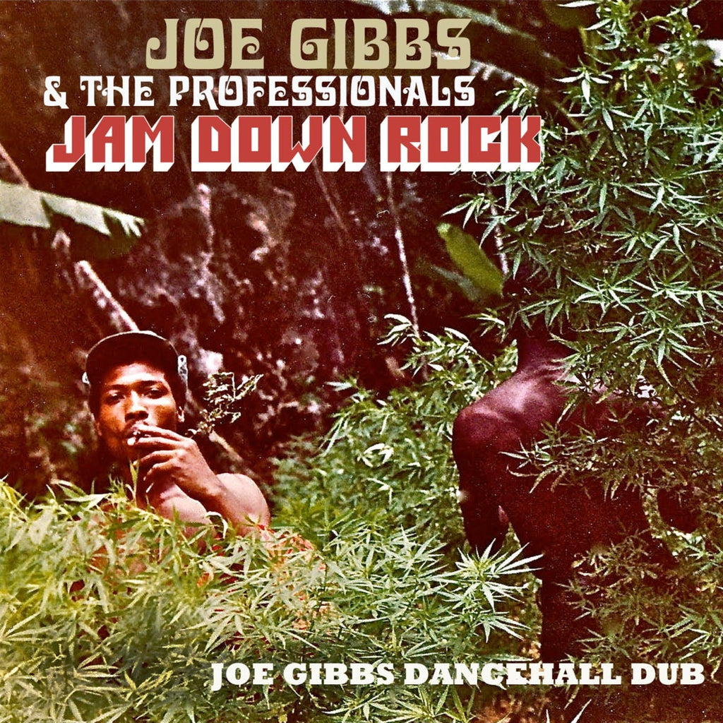 JOE GIBBS AND THE PROFESSIONALS: JAM DOWN ROCK - JOE GIBBS DANCEHALL DUB – Proper Music