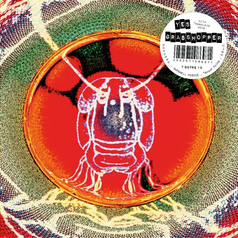 Yes Grasshopper: N.O.W.H.E.R.E. – Proper Music