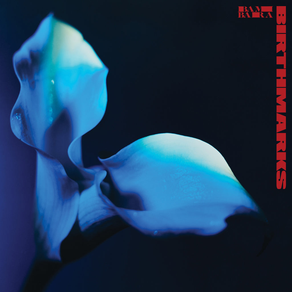 Bambara: Birthmarks – Proper Music