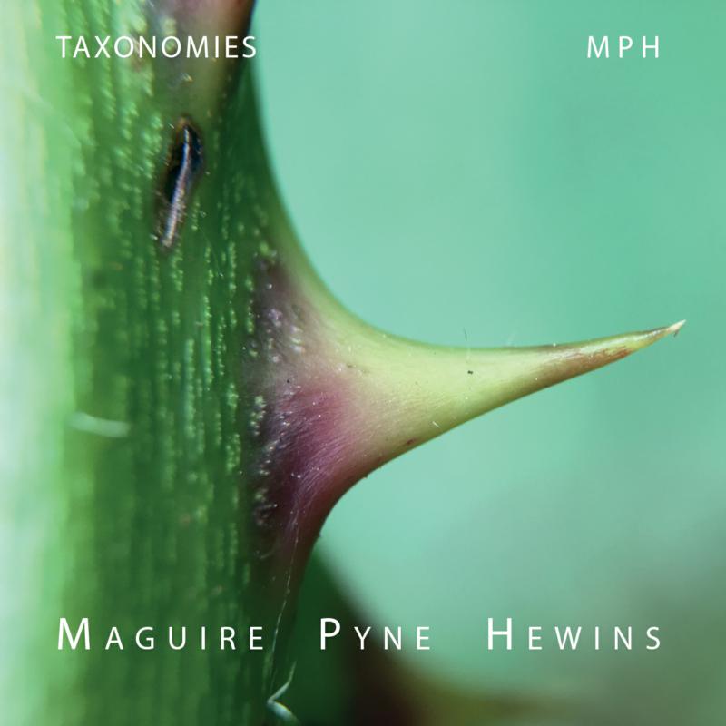 Alex Maguire, Martin Pyne & Mark Hewins: Taxonomies – Proper Music